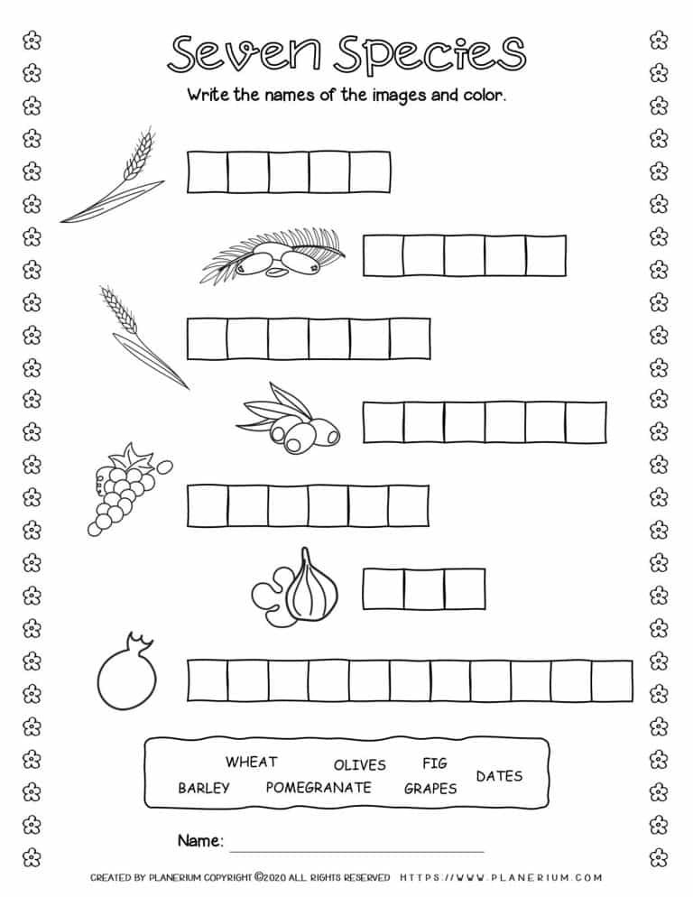 Shavuot Coloring Page - The Seven Species in Hebrew | Planerium