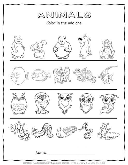 Animals Worksheet - Odd one Out | Planerium