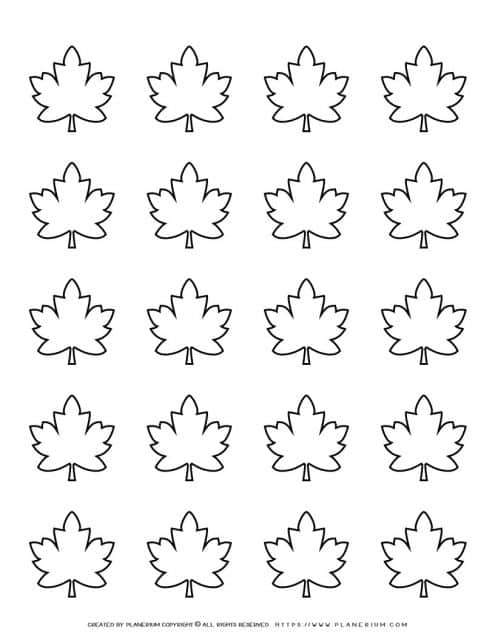 Maple Leaves Template With Six Leaves | Planerium
