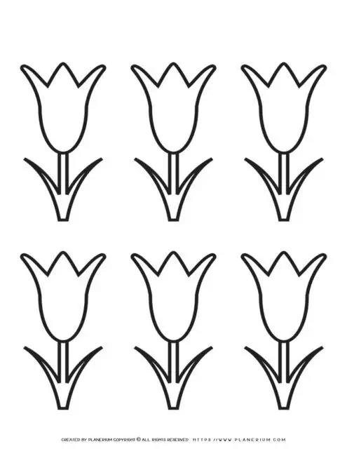 Flower Tulip Template Printable Tulip Paper Flower Templates