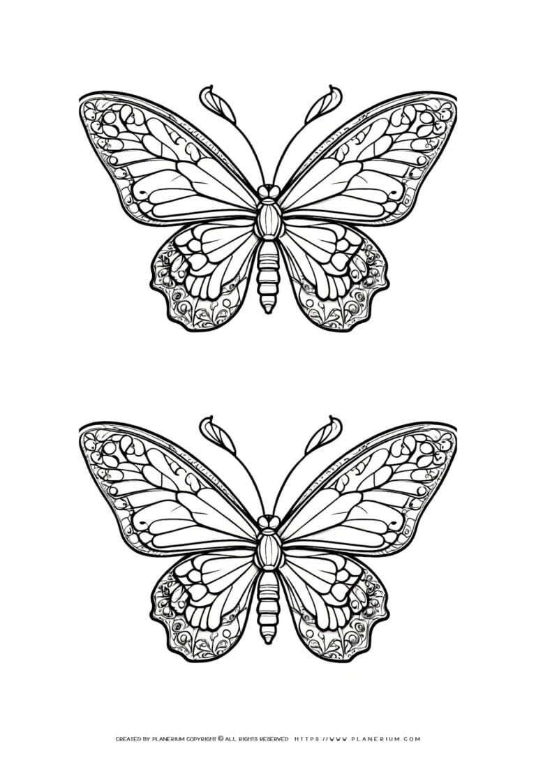 Free Butterfly-Spring-Themed Coloring Page for Classroom Fun