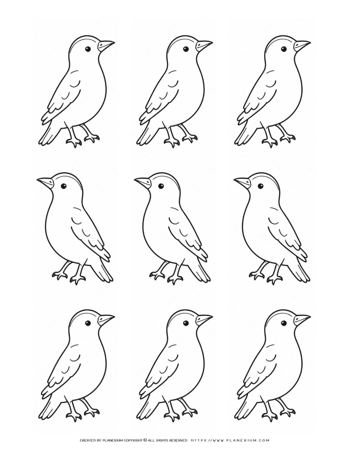 Adult Bird Coloring Pages