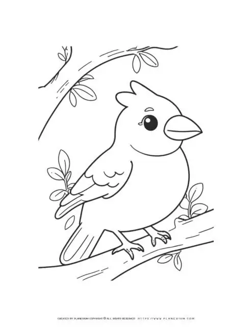 Red Bird Coloring Page Robot Bird Cardinal Coloring Page, Child