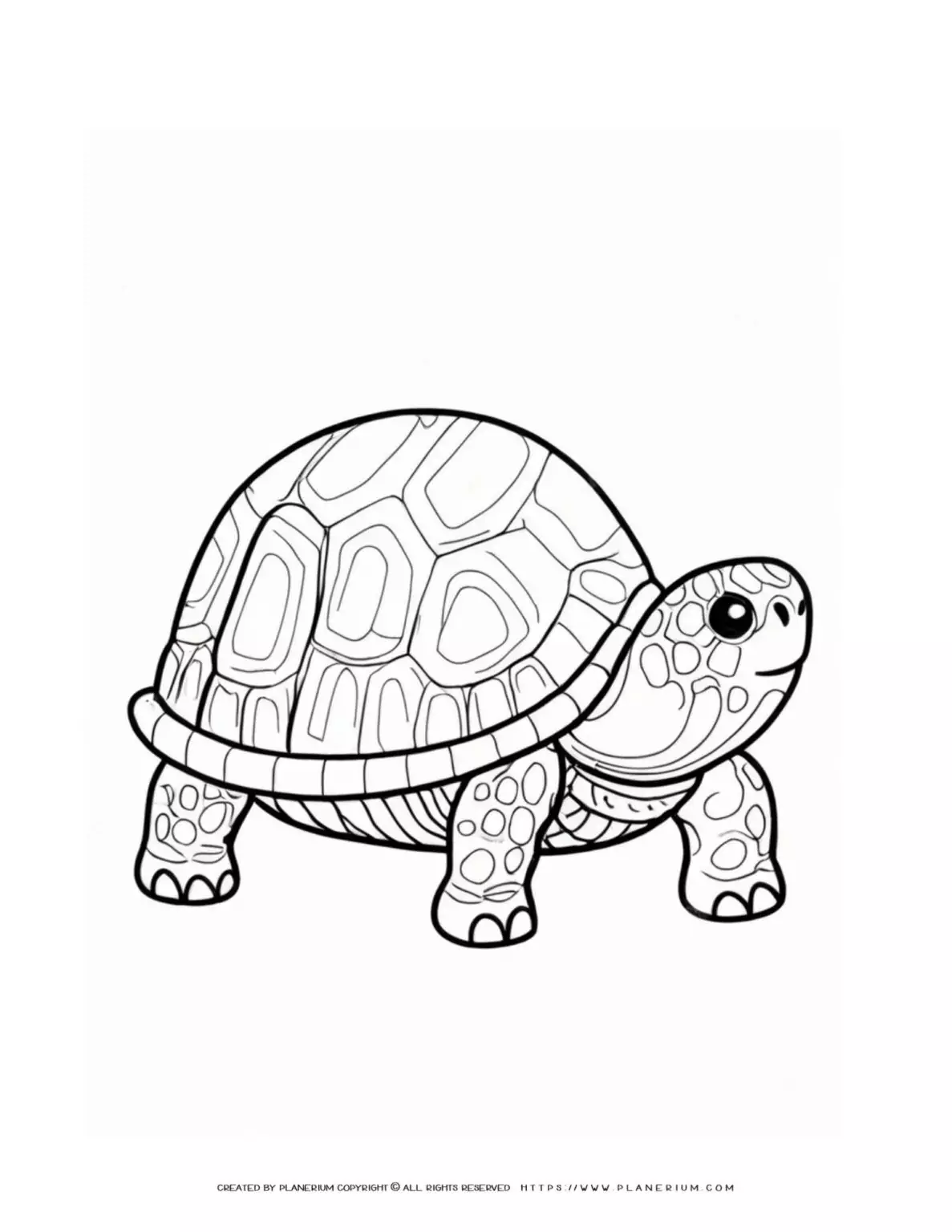Ignite Creativity with Our Detailed Turtle Coloring Page for Kids
