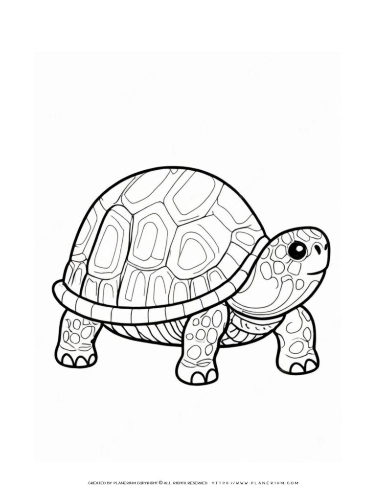 Galapagos Coloring Pages Turtle