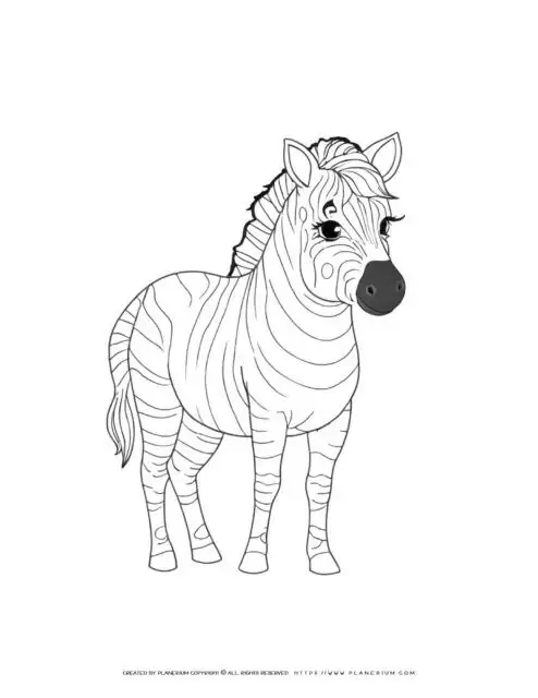 Zebra Coloring Pages Free Printable Kids Coloring Pages