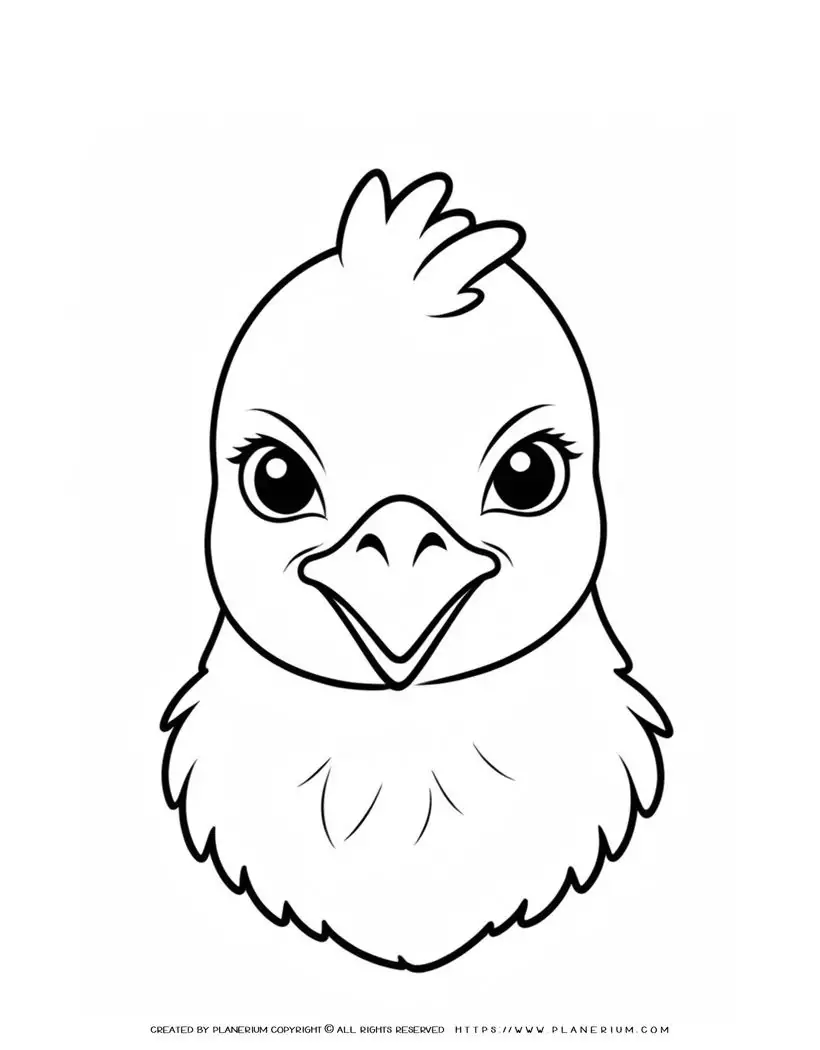 Cute Baby Chicken Portrait Coloring Page for Kids