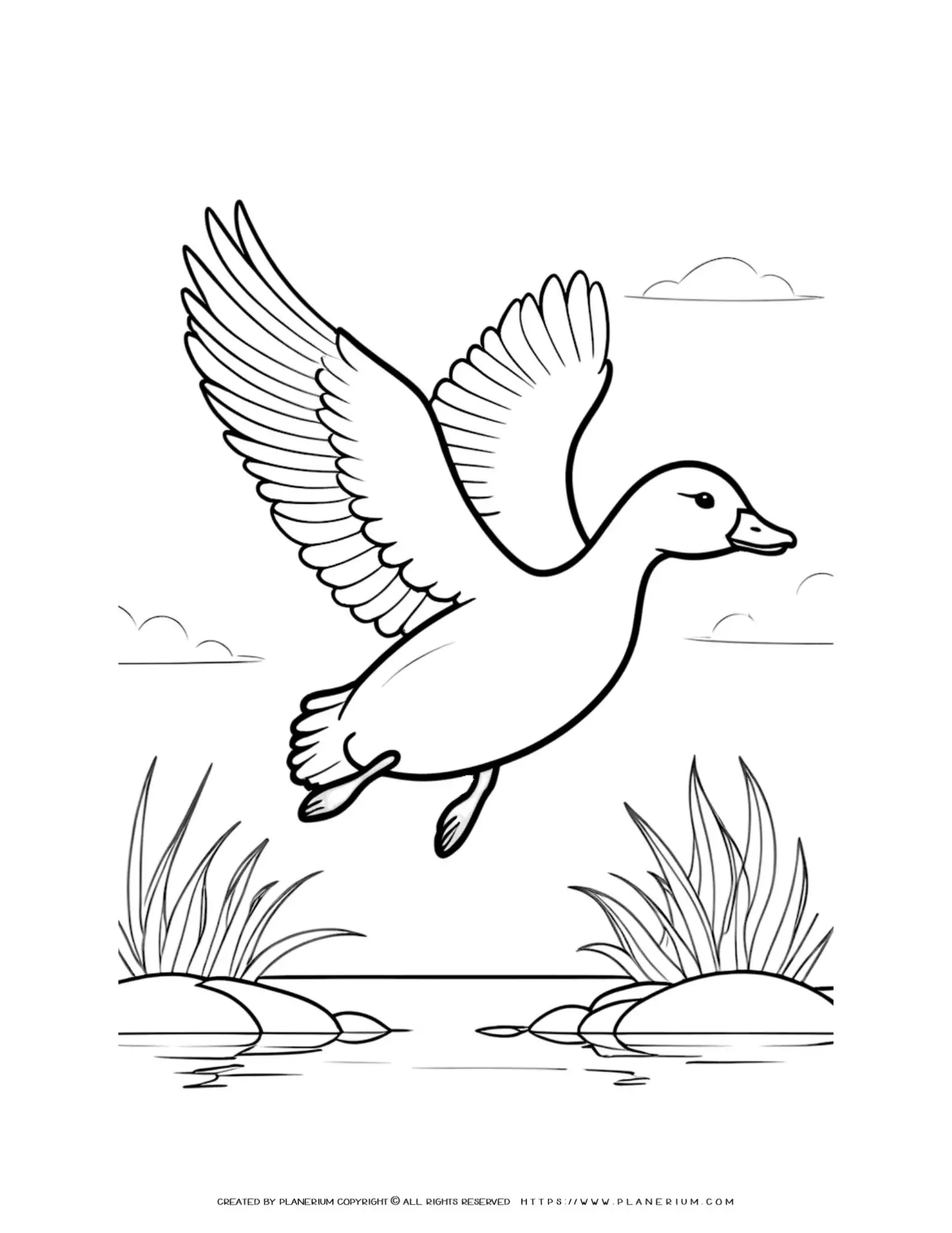 Beautiful Flying Goose Coloring Page in the Lake for Relaxing and ...