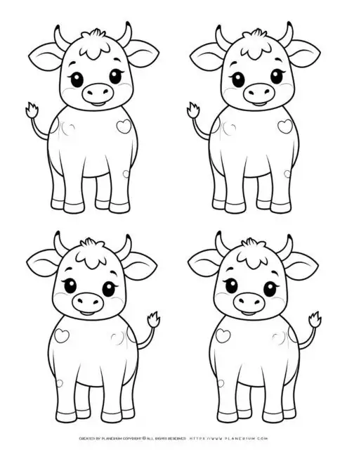 Heifer Outline