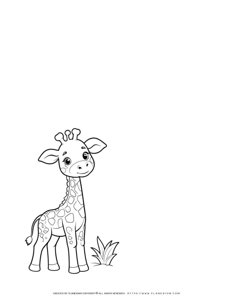 Giraffe Coloring Pages Printable Two Giraffes Giraffes Coloring