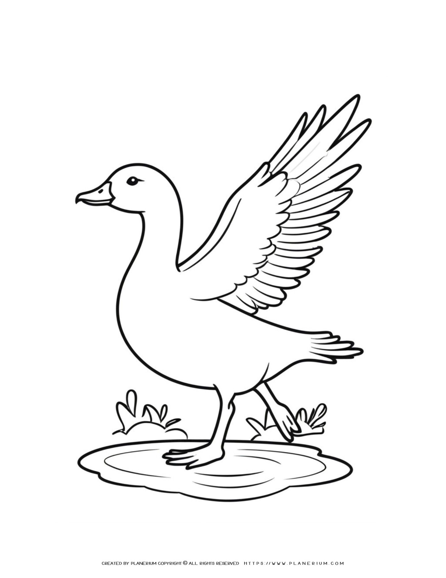 Coloring Page of a Gorgeous Goose with Open Wings in Side View