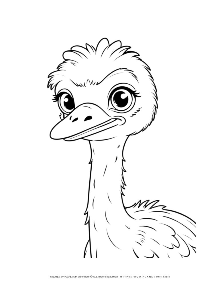 Ostrich Portrait Coloring Page for Kids - Fun and Engaging Activity