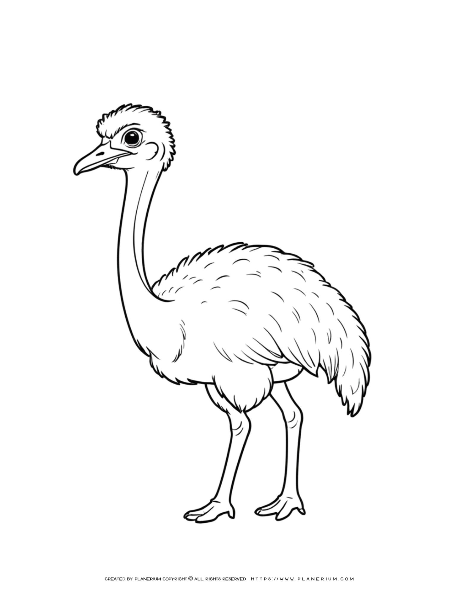 Colorful Ostrich Coloring Page - Comic Style Illustration for Kids!