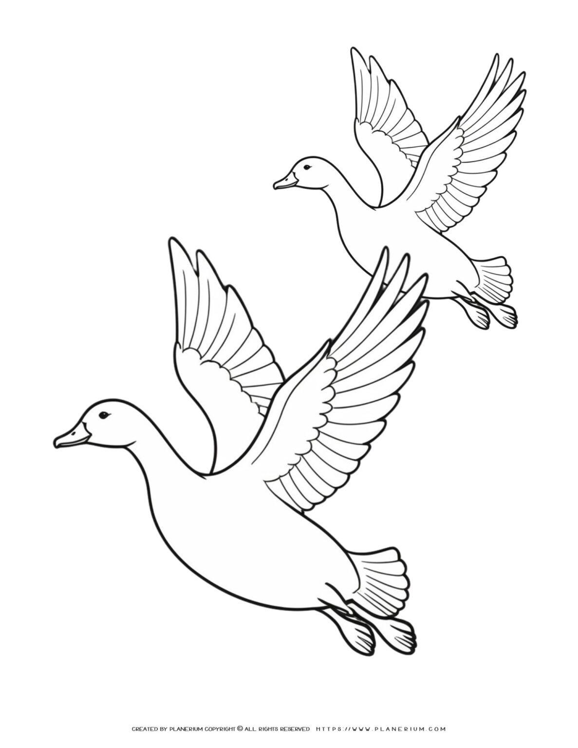 Stunning Coloring Page Featuring Two Flying Geese to Unwind and Inspire ...
