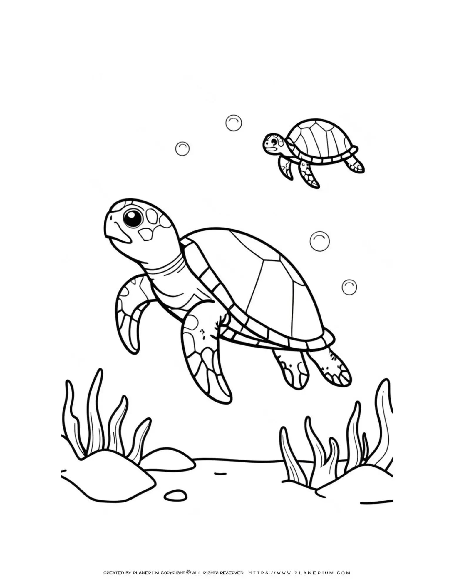 Engaging Two Sea Turtles Coloring Page: Foster Creativity & Conservation