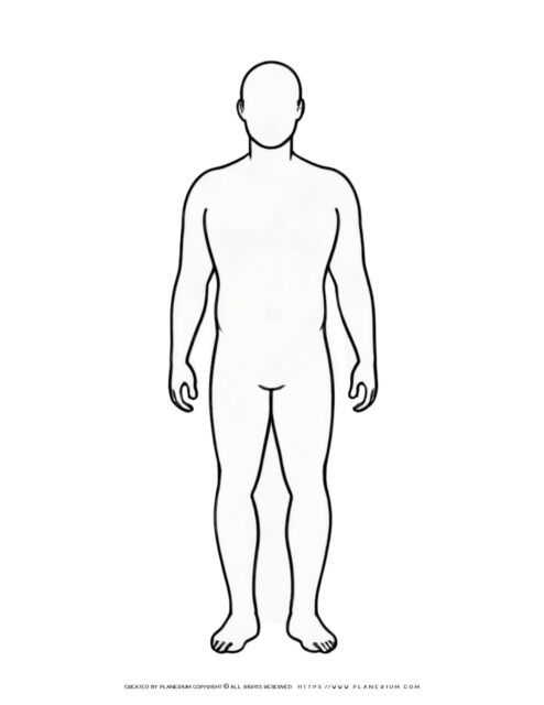 Versatile Male Body Outline Template for Educators