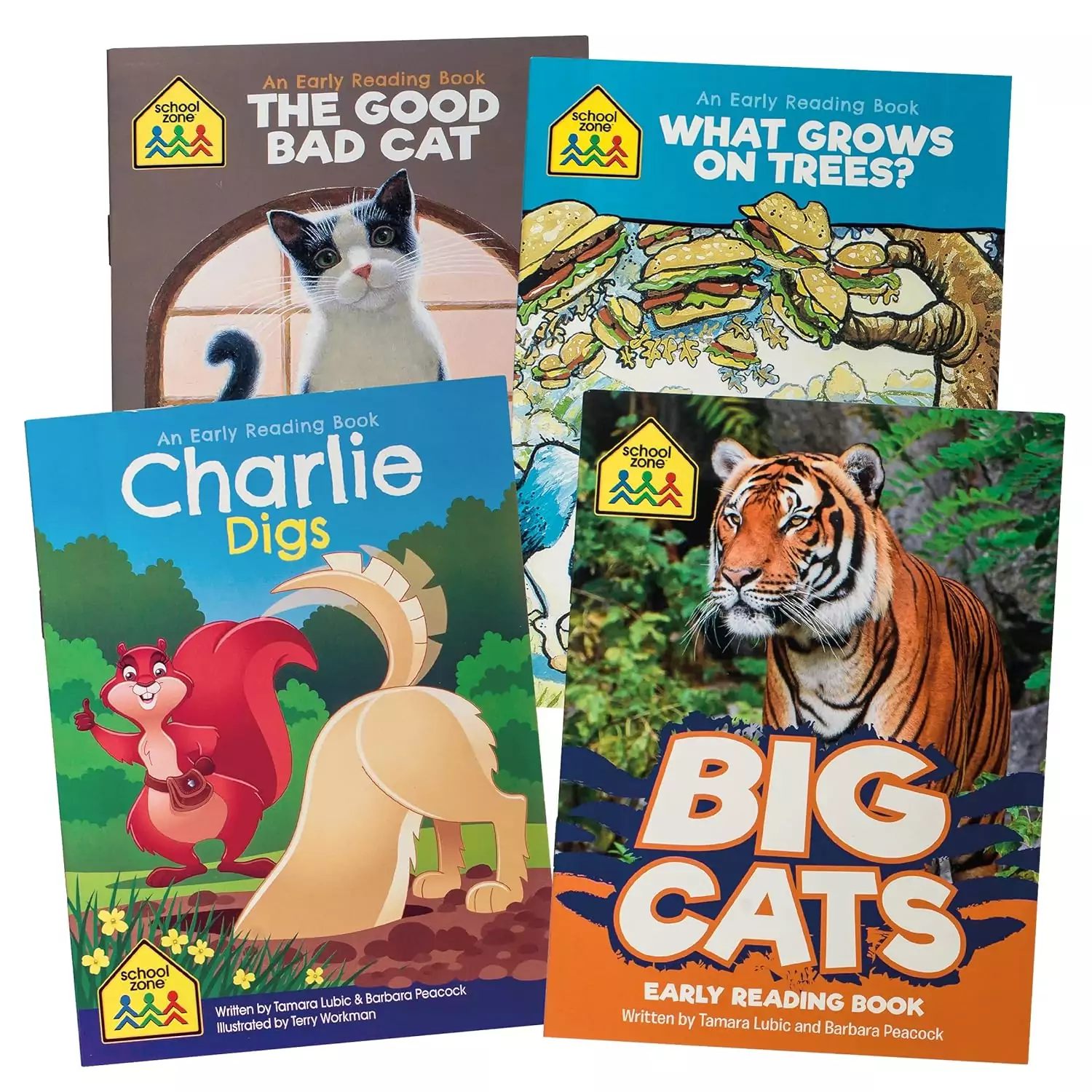 Preschool Learning: School Zone Curriculum Set
