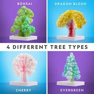 Grow 6 Crystal Trees with Nat Geo Kids Craft Kit