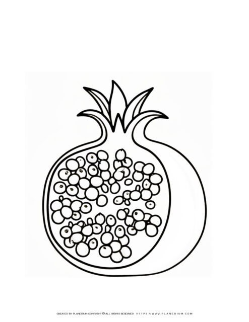 Engaging Half Pomegranate Coloring Page for Kids