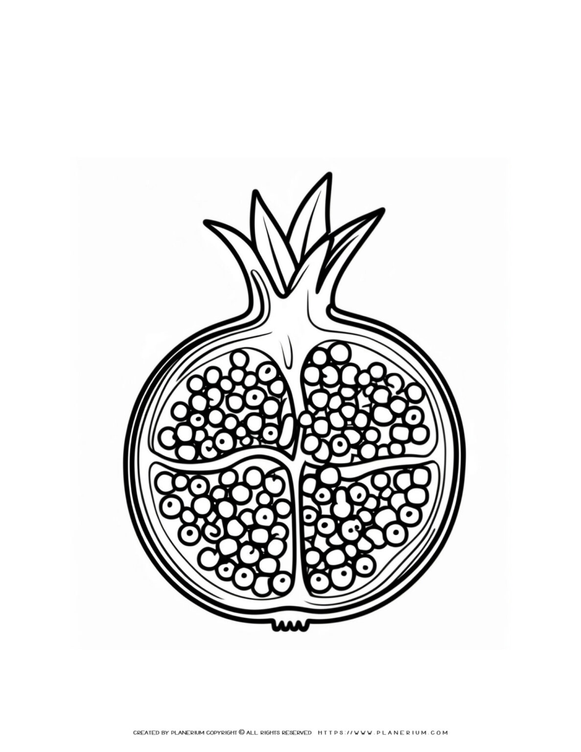 Engaging Half Pomegranate Coloring Page for Kids